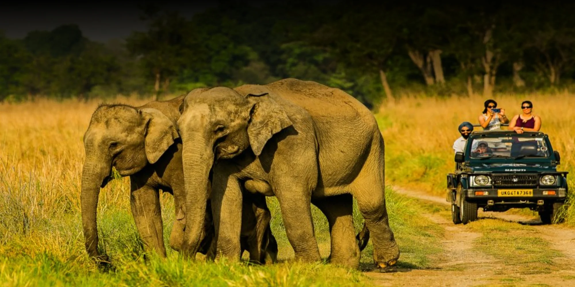 Jim Corbett National Park